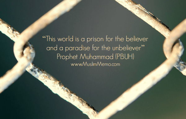 A Gallery of Hadith and Sunnah | Muslim Memo