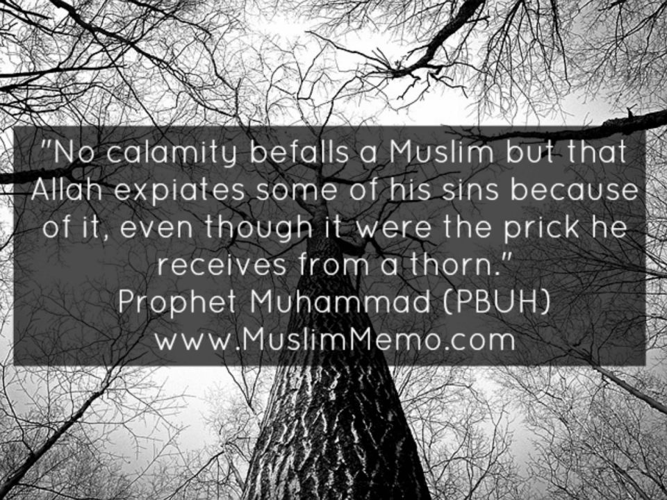 A Gallery of Hadith and Sunnah | Muslim Memo