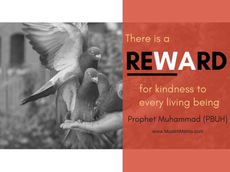 10 Life Lessons We Can Learn From Prophet Muhammad (PBUH) | Muslim Memo