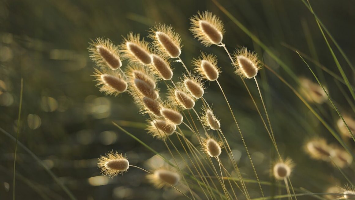 Adab: The Importance of Good Manners in Islam | Muslim Memo