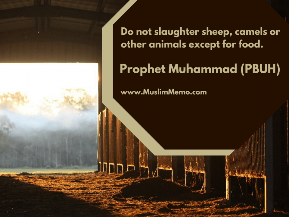 10 Islamic Rules of War Given by Prophet Muhammad | Muslim Memo